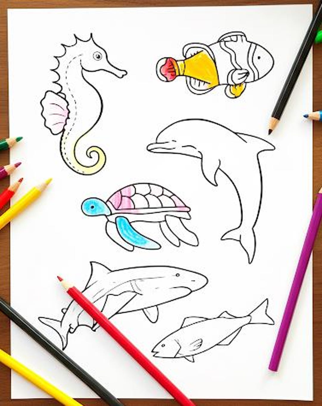 Summer Coloring Pages - Under the Sea! - Kids Coloring Printable - Etsy