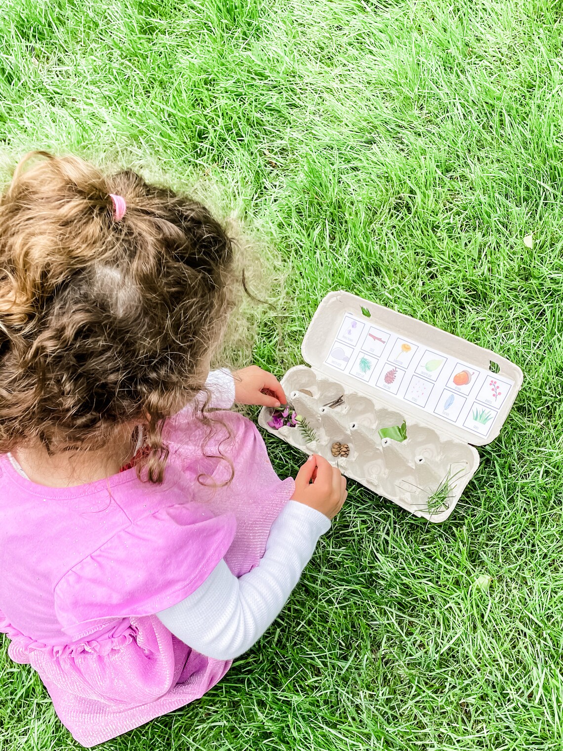 Printable Egg Carton Nature Scavenger Hunt Kids Nature Scavenger Hunt ...