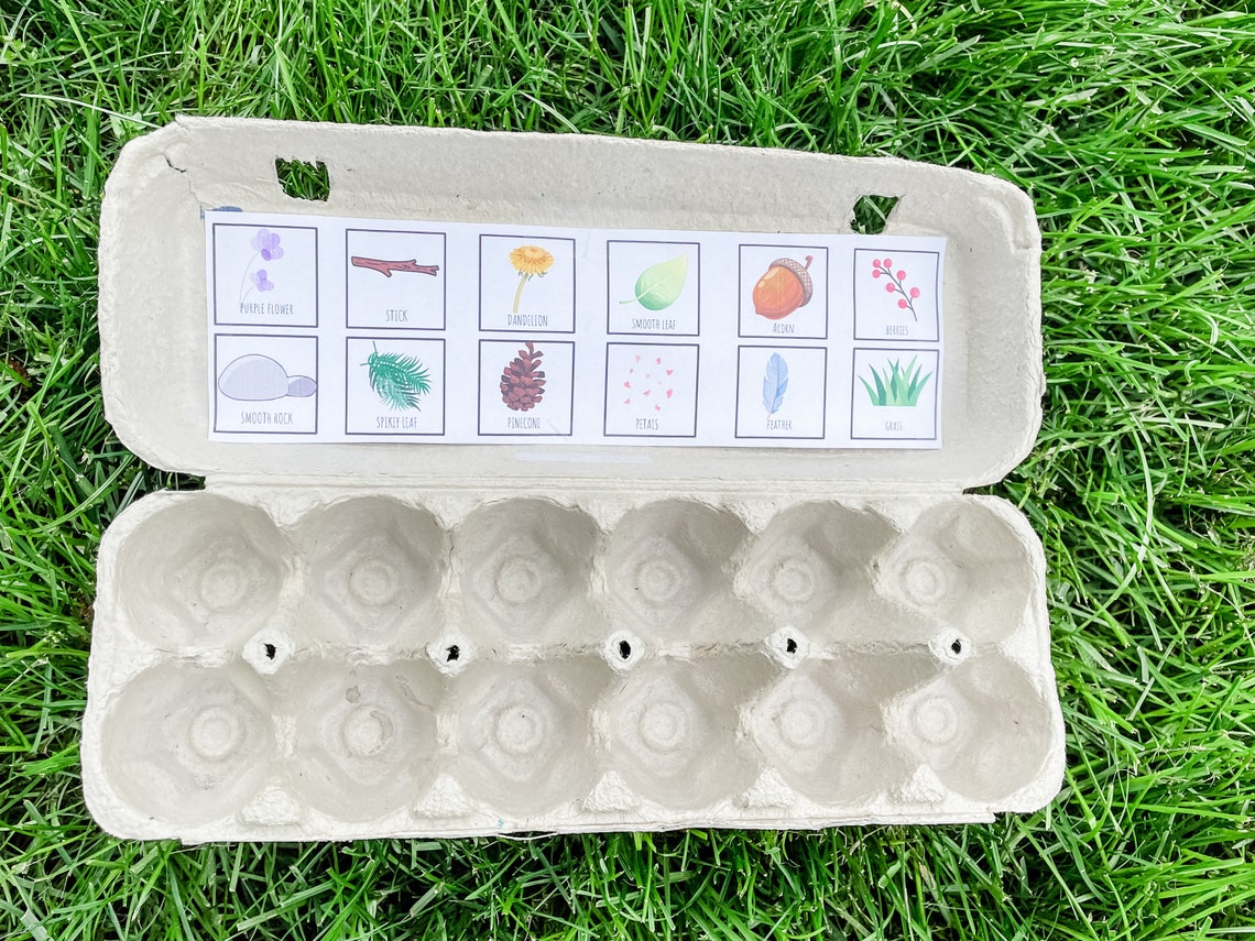 Printable Egg Carton Nature Scavenger Hunt Kids Nature Scavenger Hunt ...