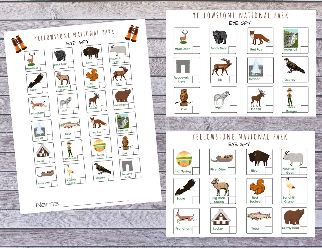 Yellowstone National Park Kids Eye Spy Summer Kids Car Games Kids Road ...