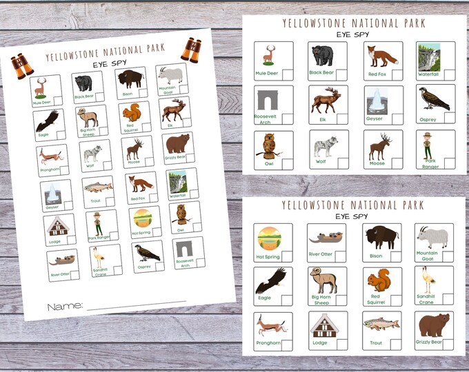 Printable Egg Carton Nature Scavenger Hunt Kids Nature - Etsy Canada