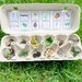 Printable Egg Carton Nature Scavenger Hunt Kids Nature Scavenger Hunt ...