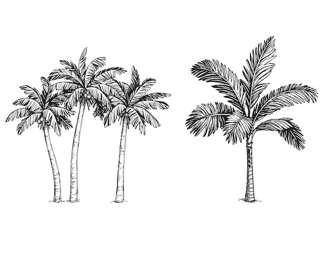 Single Line Art Palm Tree Drawing, Hand Drawn Palm Tree, Line Art Coco ...