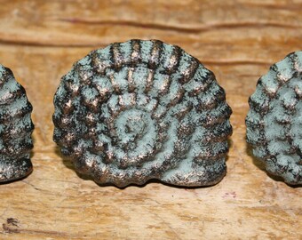 Shell Door Handle - Etsy