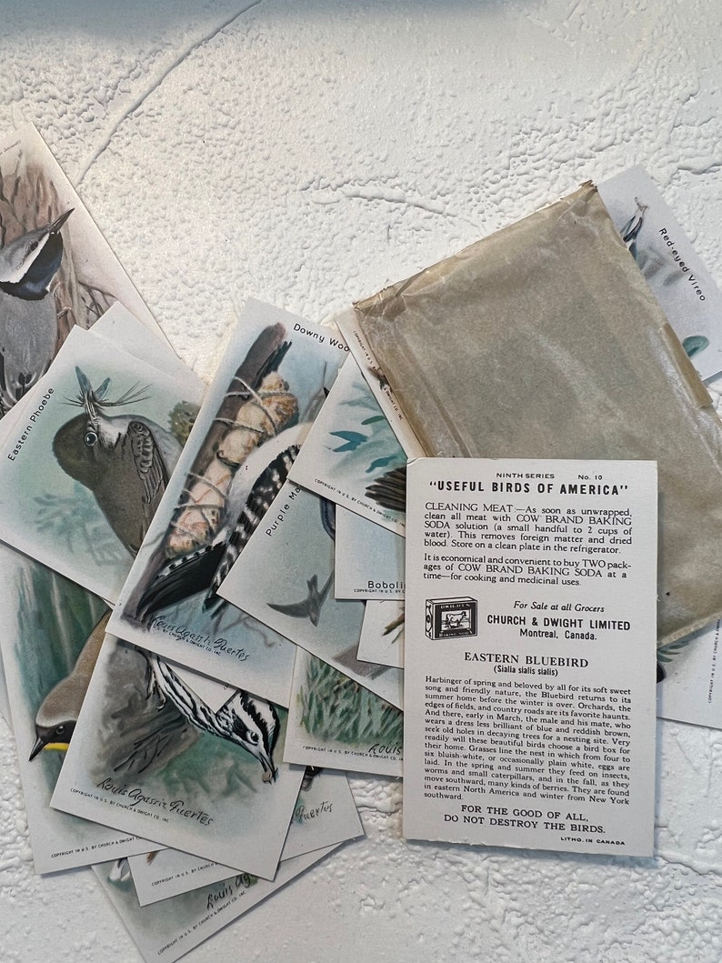 Useful Birds of America Collector Cards Series 9, Series 10 (1930s) - Etsy