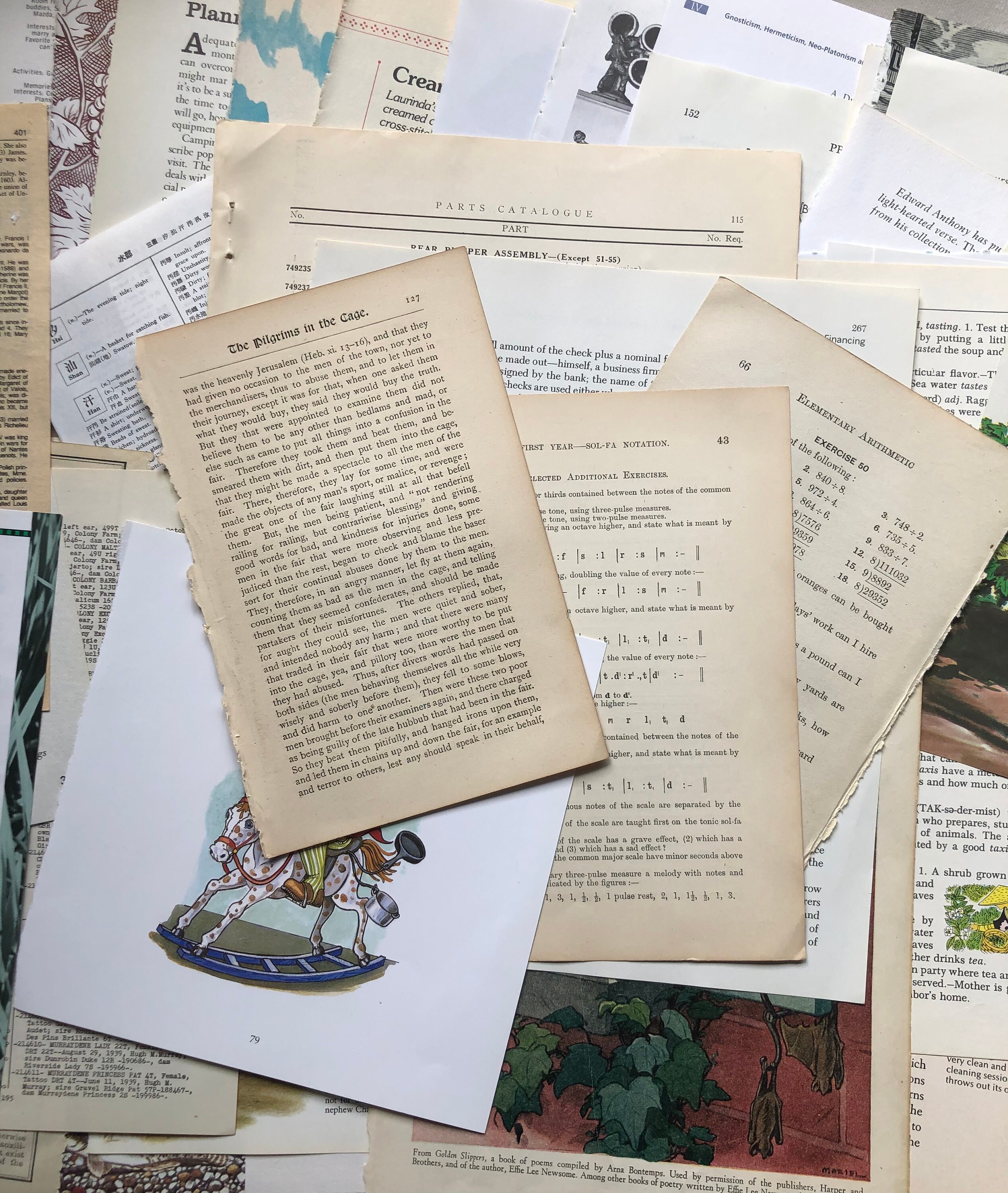 Huge Vintage & Antique Book Pages Bundle 100 Pages - Etsy