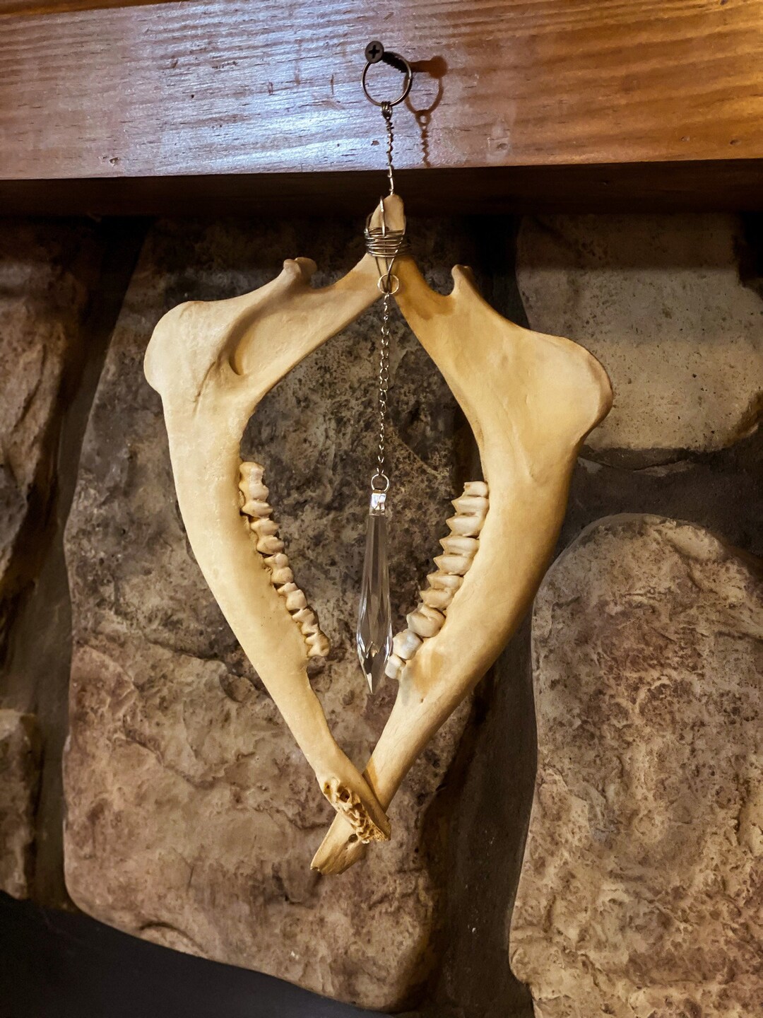 Suncatcher Maxilla Display - Etsy
