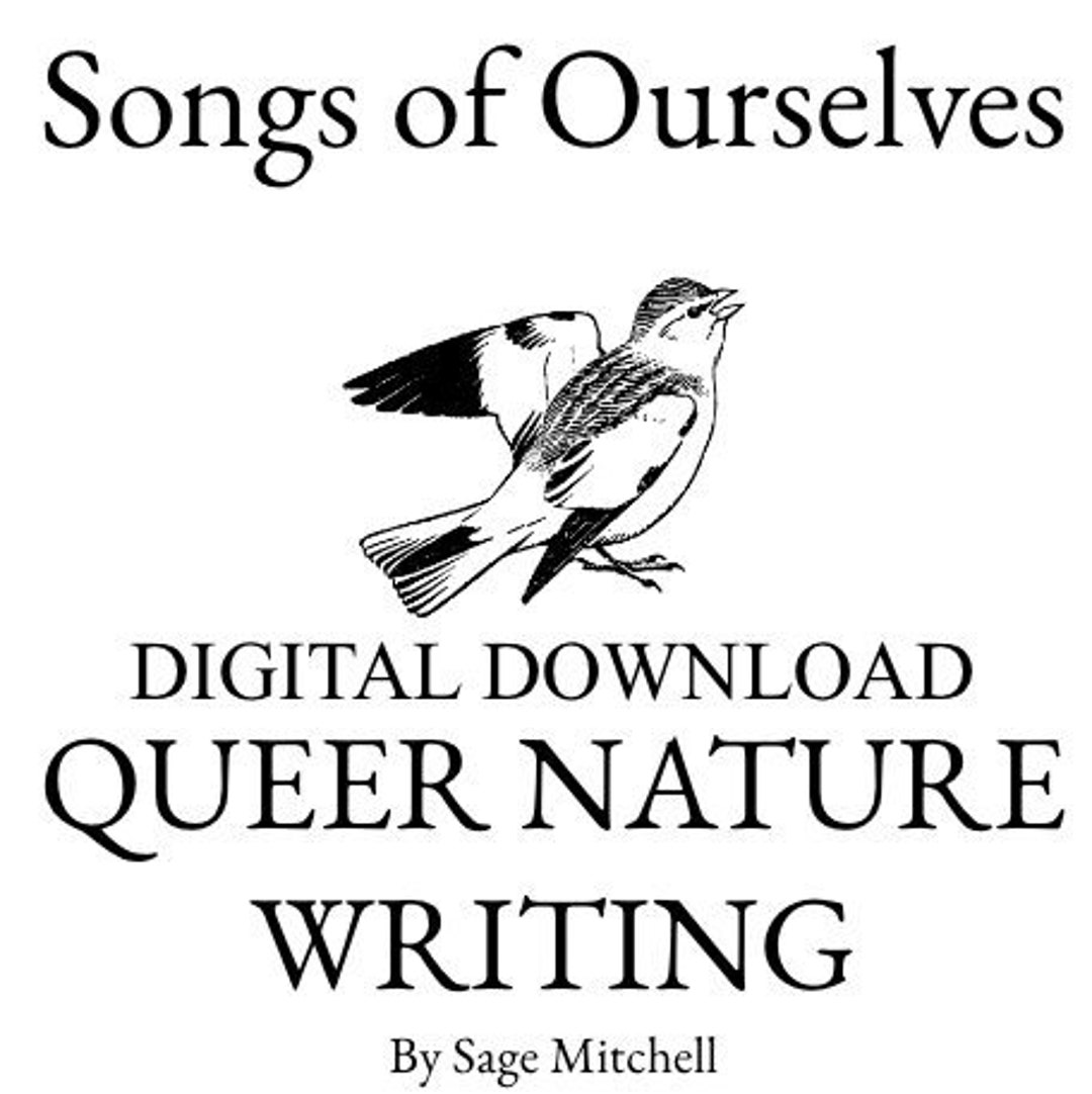 DIGITAL DOWNLOAD Queer Nature Writing - Etsy