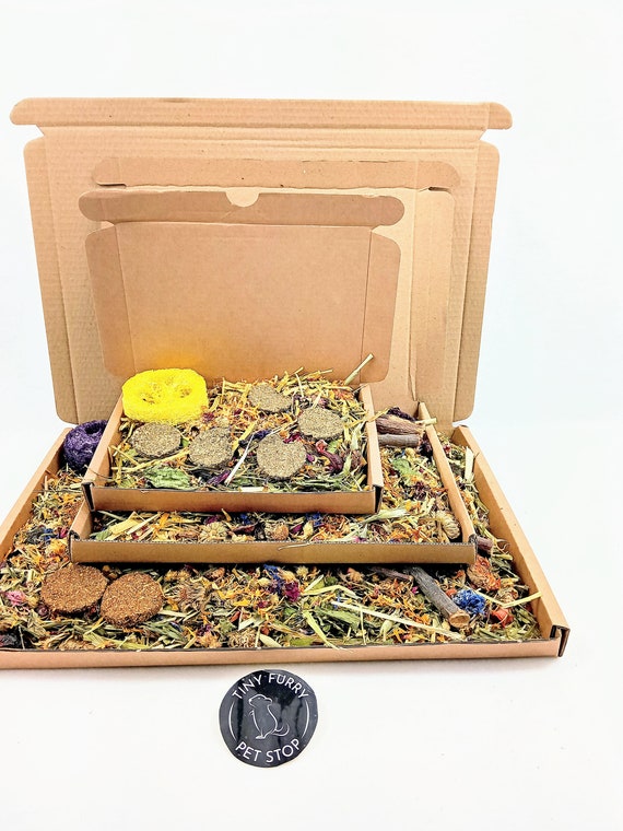 Degu Forage Surprise With Loofah an 5 Homemade Degu Cookies. | Etsy UK