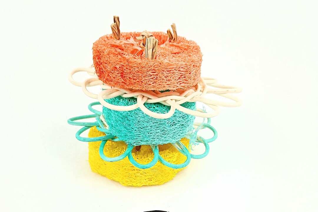 Loofah Cake Happy Birthday for Rabbits Chinchillas Hamsters Gerbils and ...