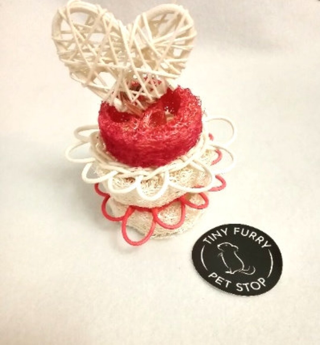 Valentine Loofah Cake for Rabbits Chinchillas Hamsters Gerbils and ...