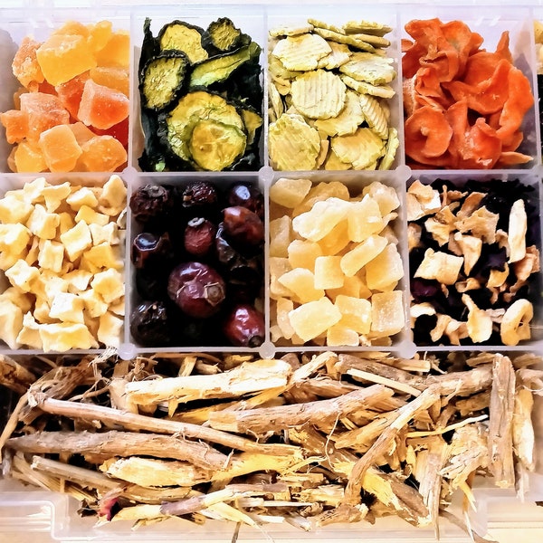 Dinosaur Explorer Potion Kit - Etsy Australia