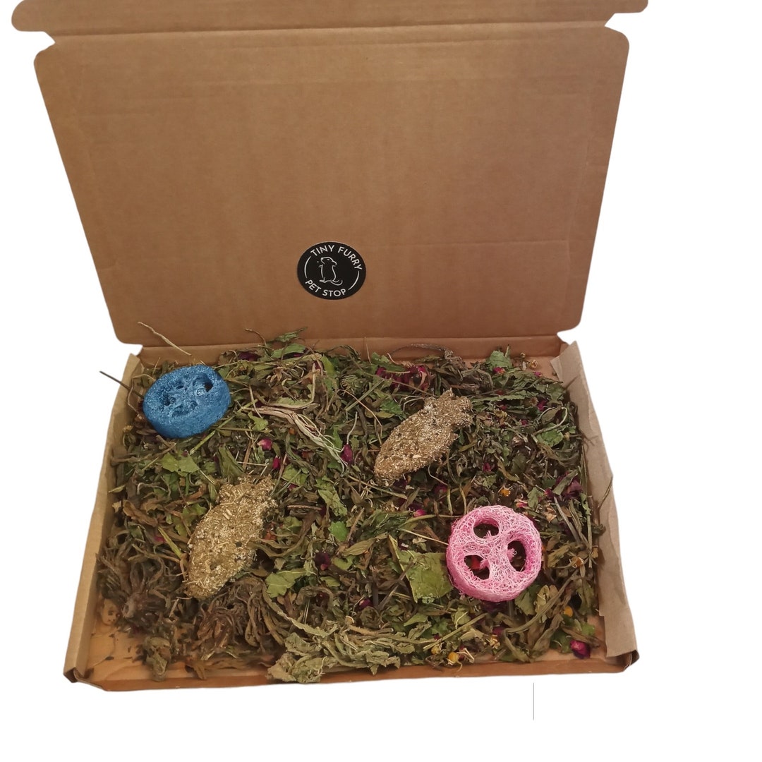 Rabbit Forage Surprise Large Box With Loofah an 2 Carrot Shaped ...