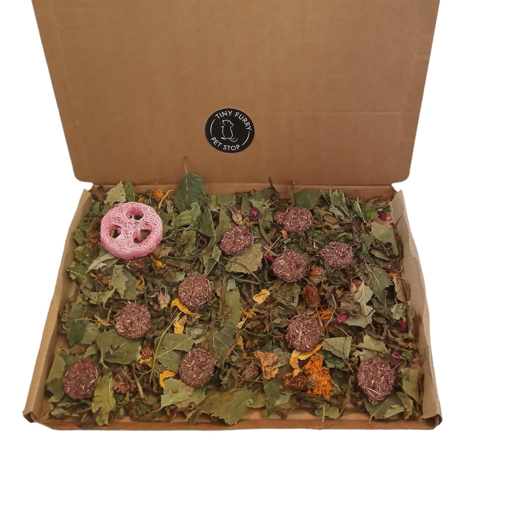 Large box Guinea Pig Forage Surprise with Loofah an 10 homemade guinea ...