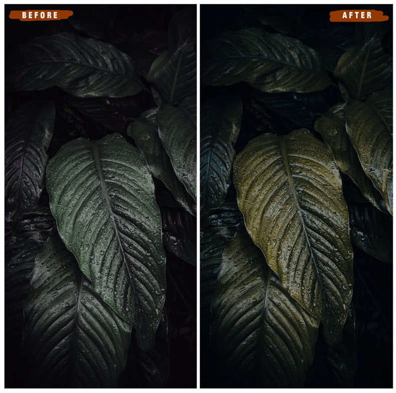 Mahogany LUT Pack - 4 Handmade Luts - Etsy