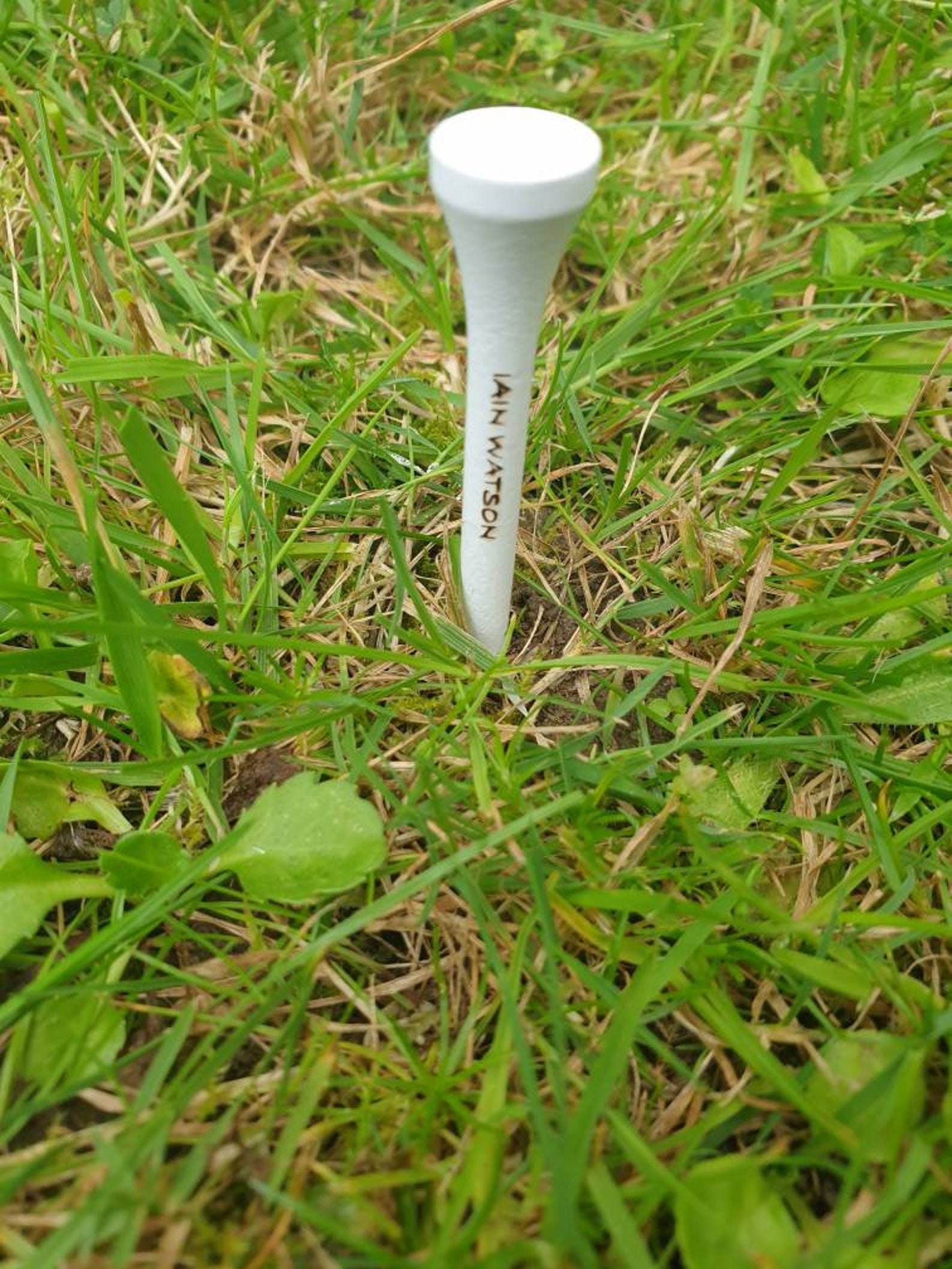 Personalised Golf Tees Personalised Golf Gifts Golf Tee Bag - Etsy UK