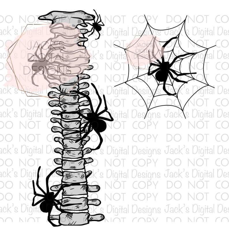 Spider Spine Png, Spooky Skeleton Png, Spooky Season Png, Skeleton ...