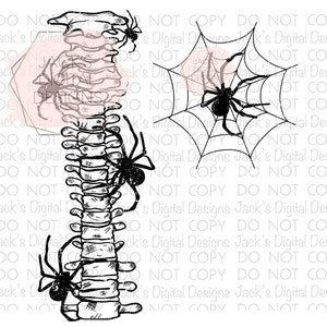 Spider Spine Png, Spooky Skeleton Png, Spooky Season Png, Skeleton ...