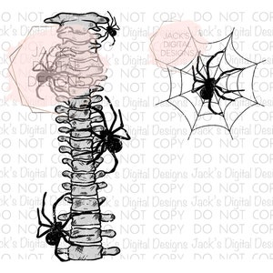 Spider Spine Png, Spooky Skeleton Png, Spooky Season Png, Skeleton ...