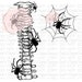 Spider Spine Png, Spooky Skeleton Png, Spooky Season Png, Skeleton ...
