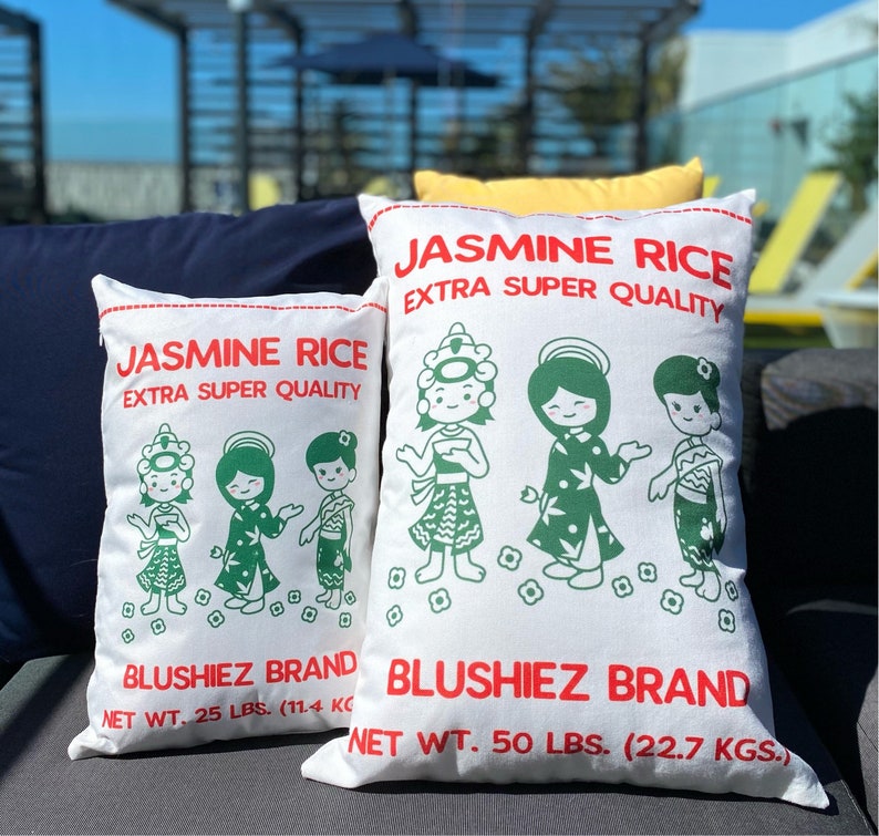 Jasmine Rice Decorative Pillow | Asian Food Themed Decor | Kawaii Plush ...