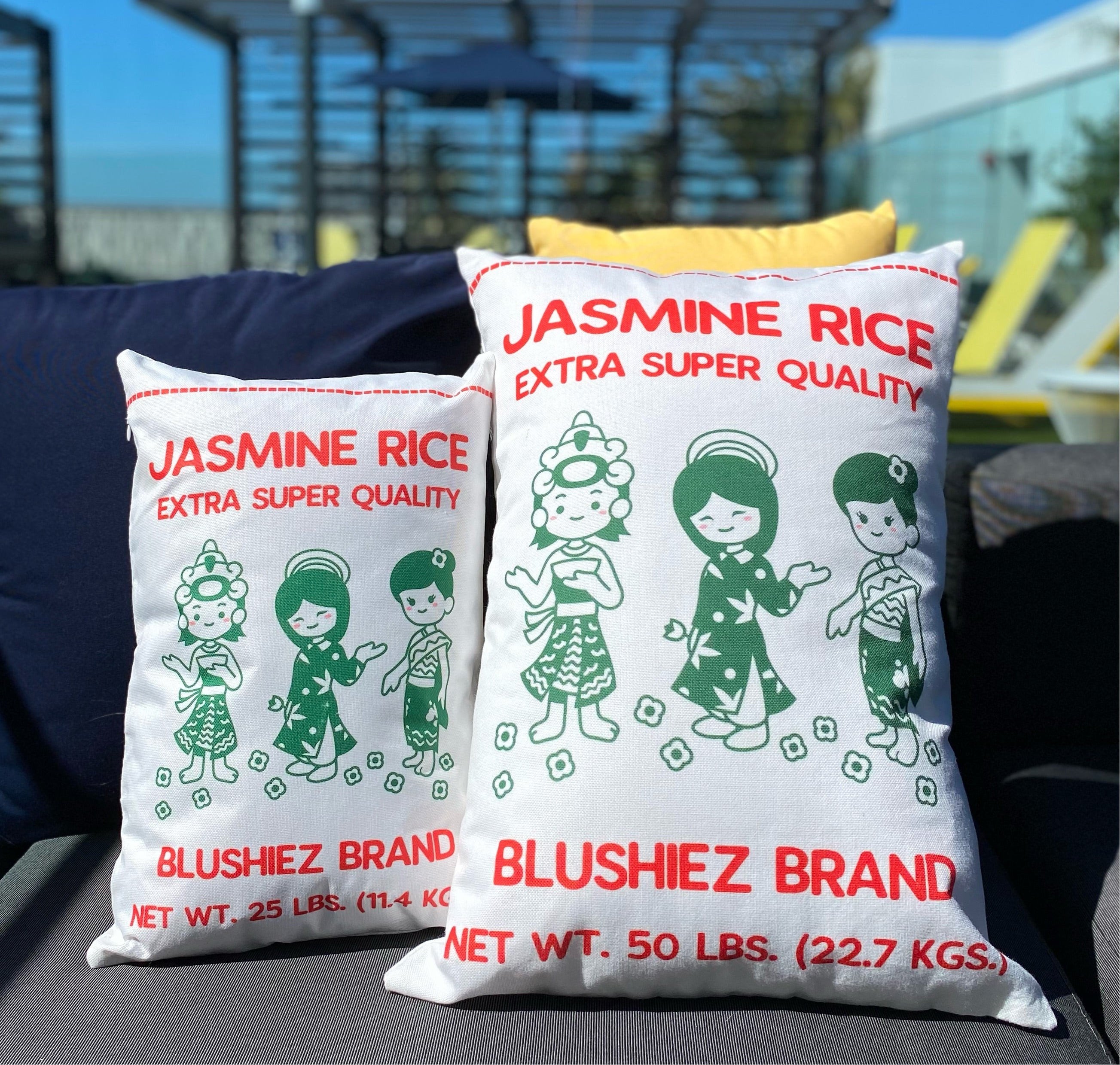 Jasmine Rice Decorative Pillow | Asian Food Themed Decor | Kawaii Plush ...