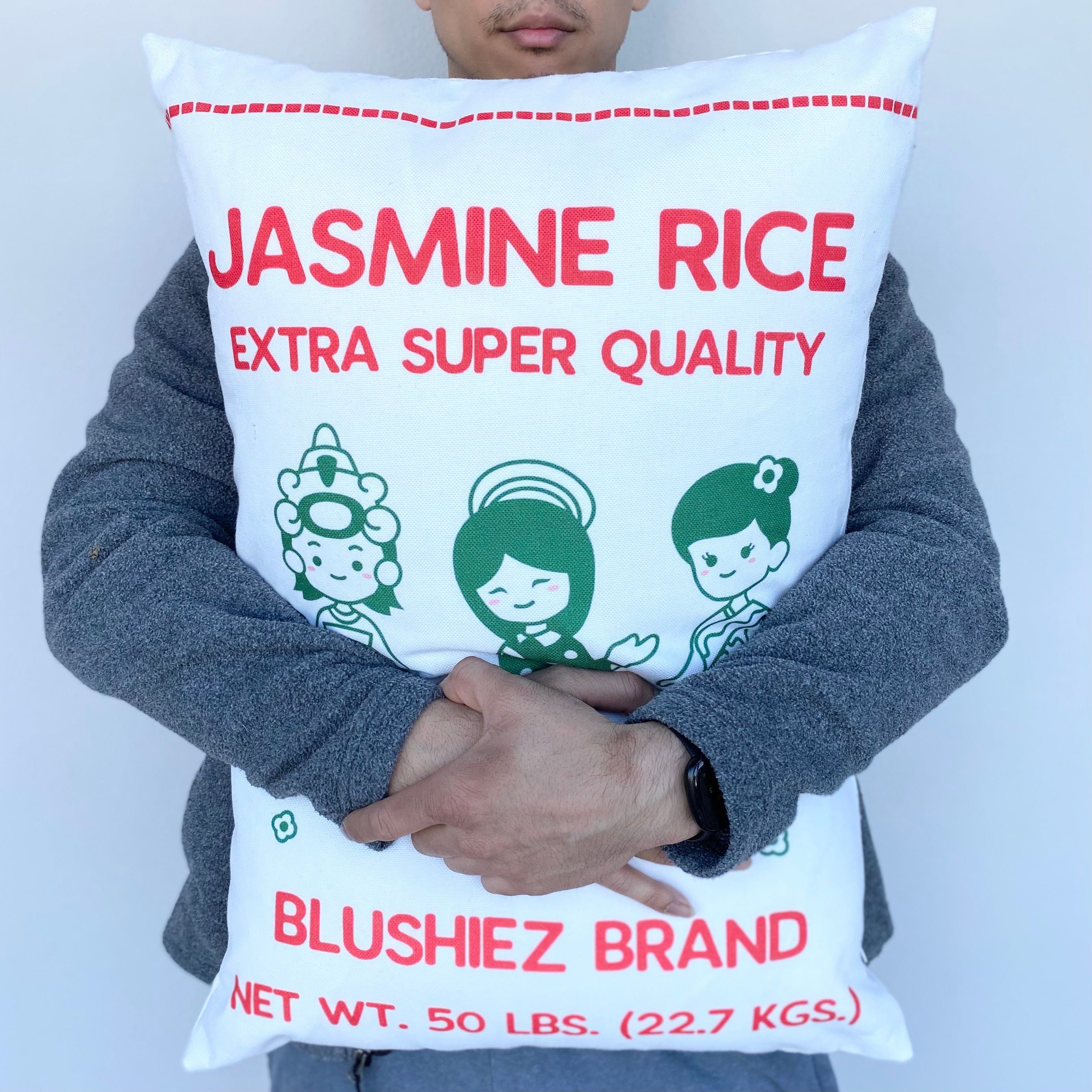 Jasmine Rice Decorative Pillow Asian Food Themed Decor - Etsy