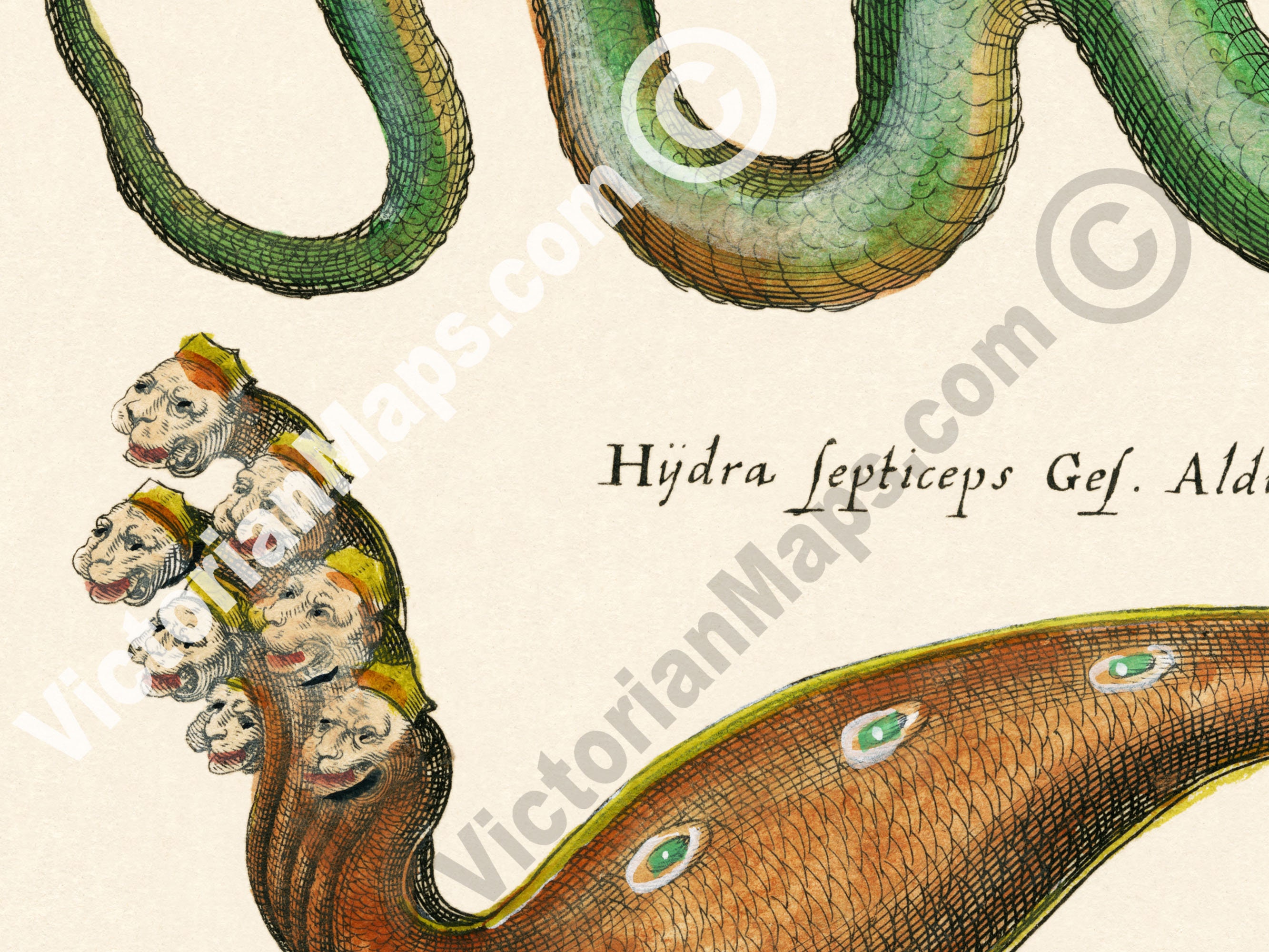 Basilisk Dragon Hydra Mythical Monster Serpent Antique - Etsy