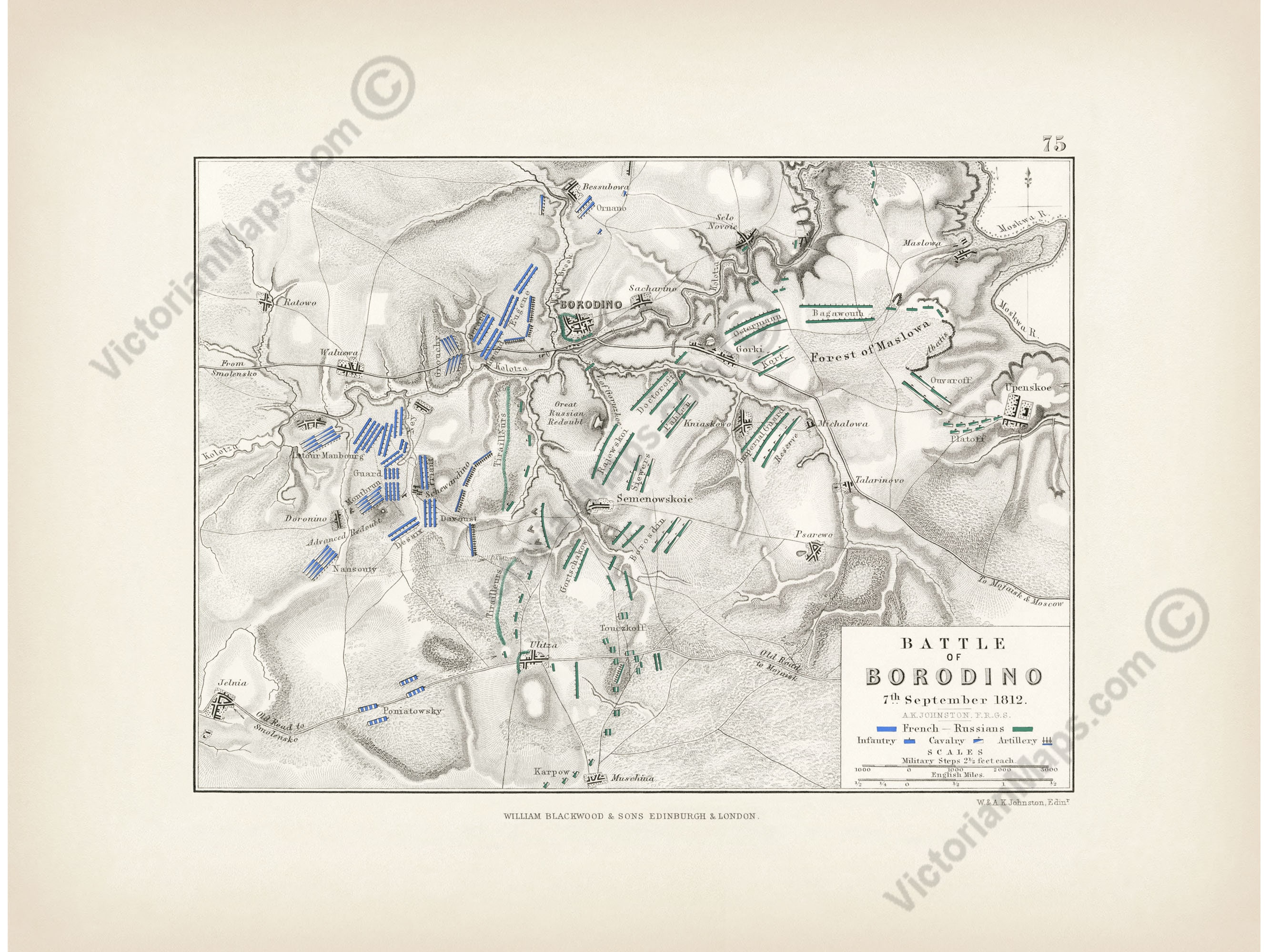 Battle Of Borodino Map