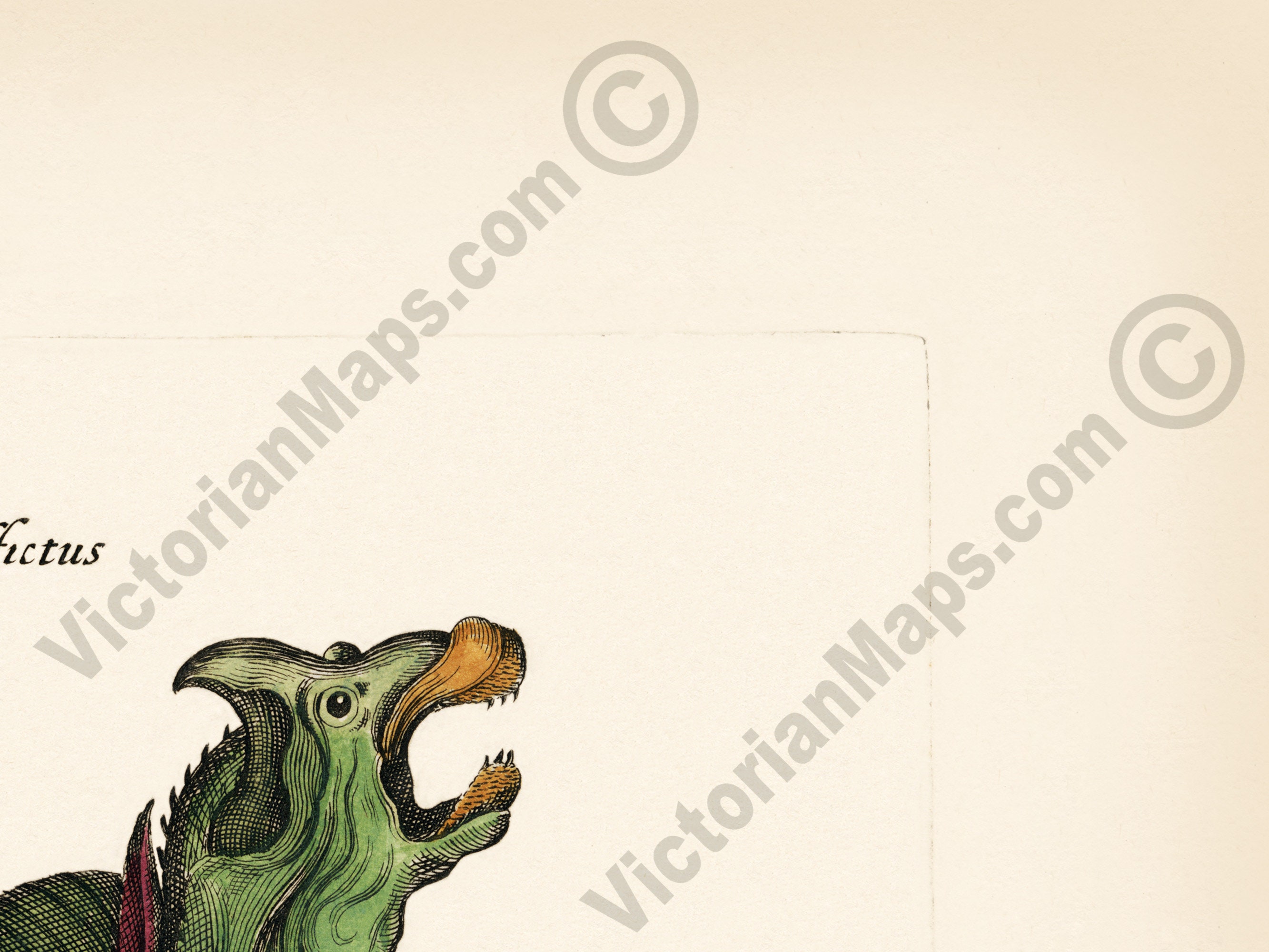 Sea Monster Basilisk Dragon Ray Mythical Beast Serpent Old - Etsy