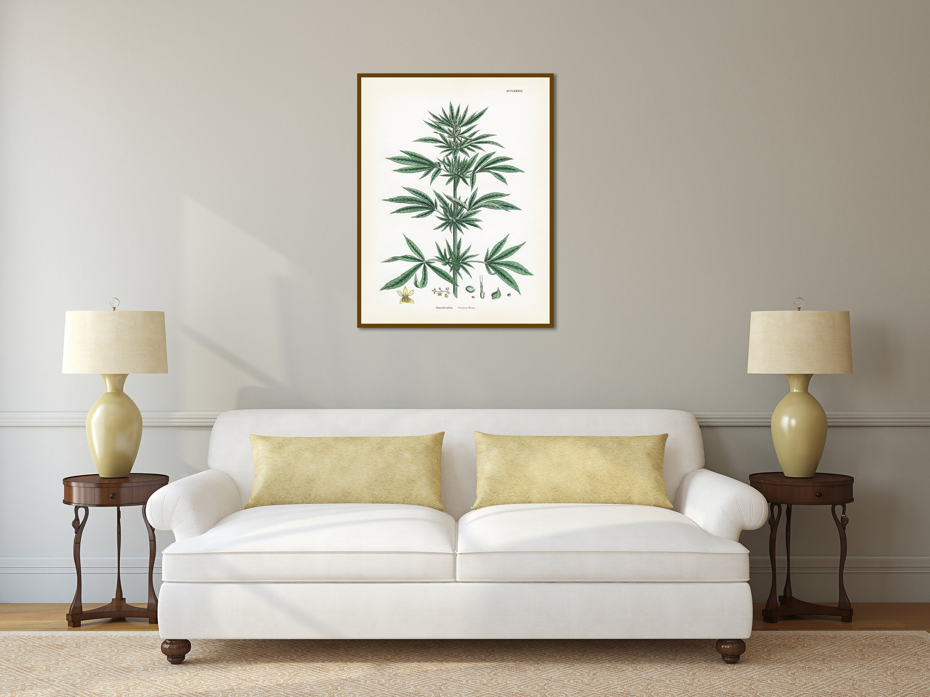 Hanf Cannabis sativa Marihuana Pflanze Blatt Blume Kraut antik ...
