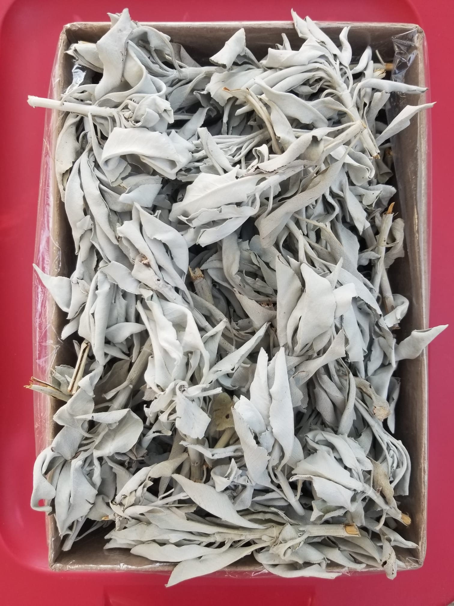 1 Lb of California White Sage Clusters | Free U.S. Shipping - Etsy