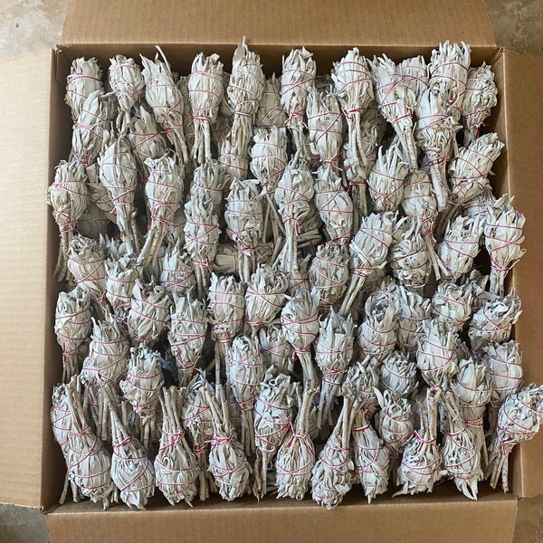 White Sage Bundle - Etsy