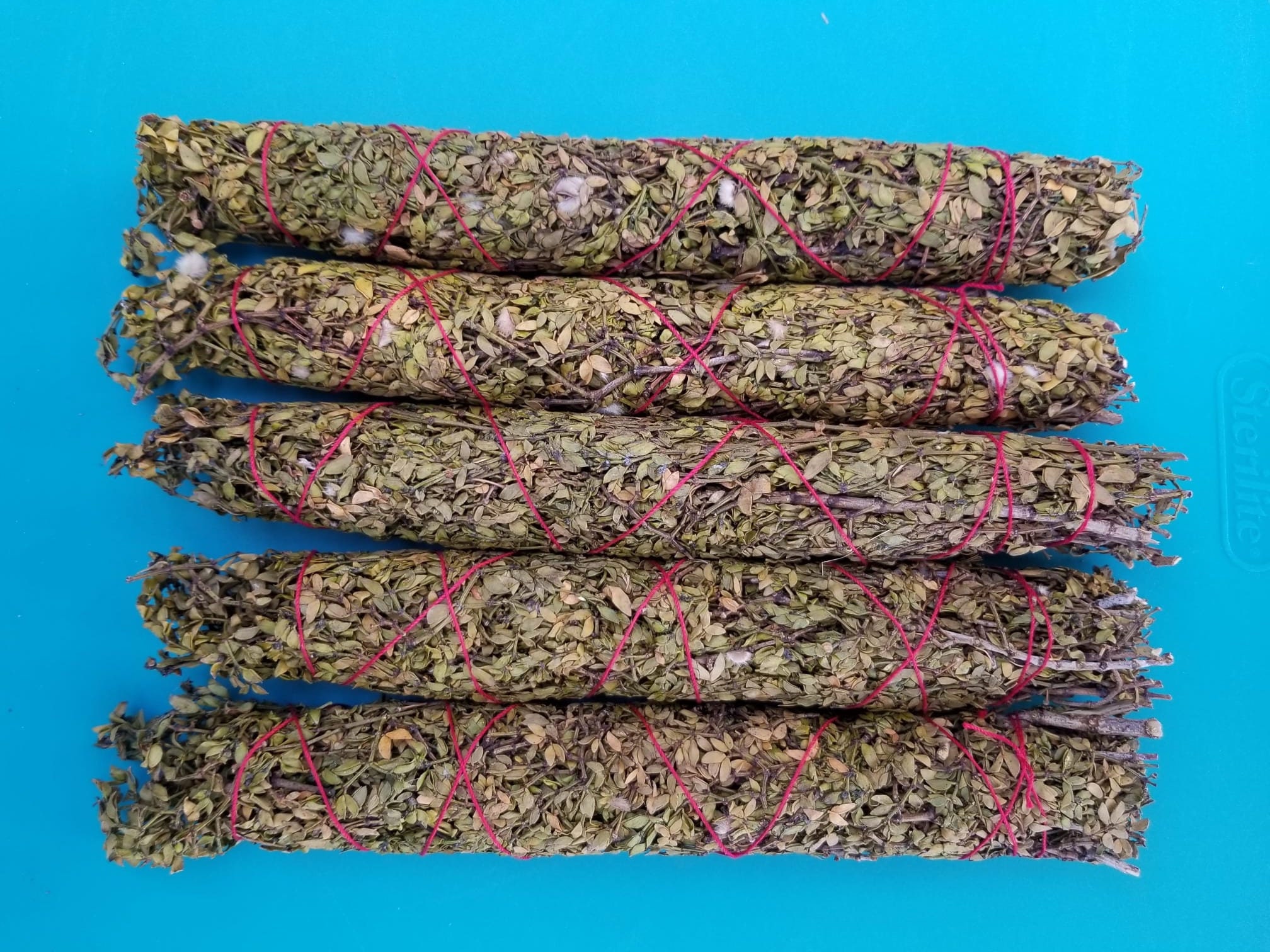 5 Pack Arizona Creosote Bush 9" Smudging Sticks Free U.S. Shipping - Etsy