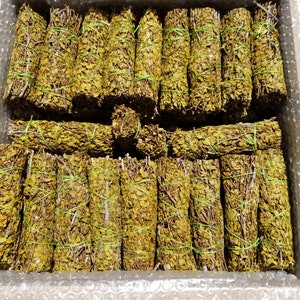 ThePrairieSageShop - Etsy