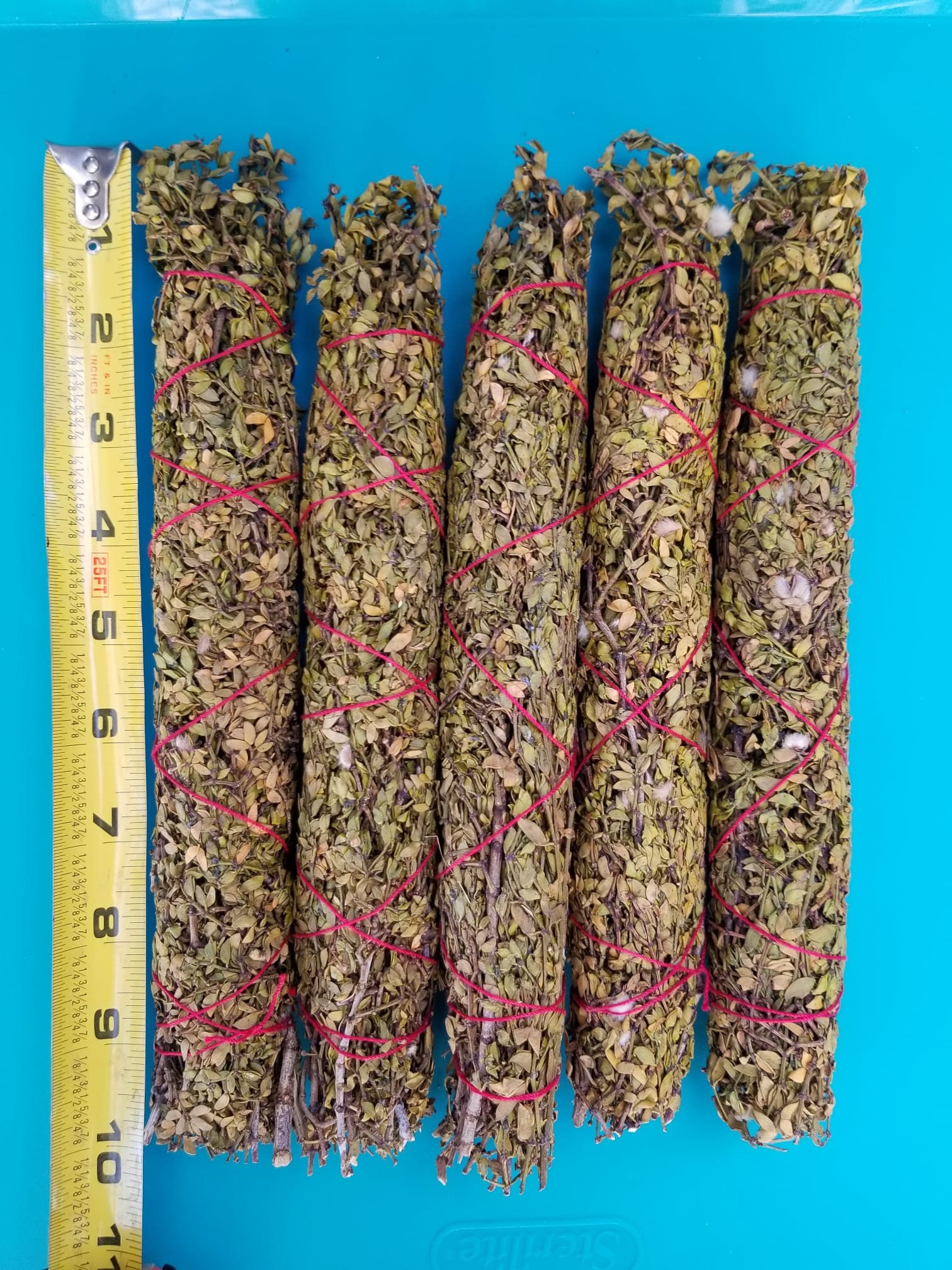 5 Pack Arizona Creosote Bush 9" Smudging Sticks Free U.S. Shipping - Etsy