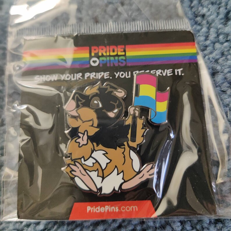 Pride Pins by Fursona Pins Pansexual Pride Flag Hard Enamel Pins - Etsy