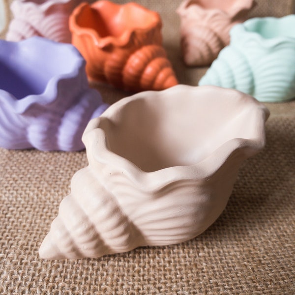 Shell Trinket Dish - Etsy UK