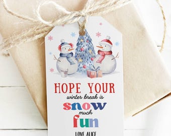 Hope Your Winter Break is Snow Much Fun Tag From Teacher Holiday Gift ...