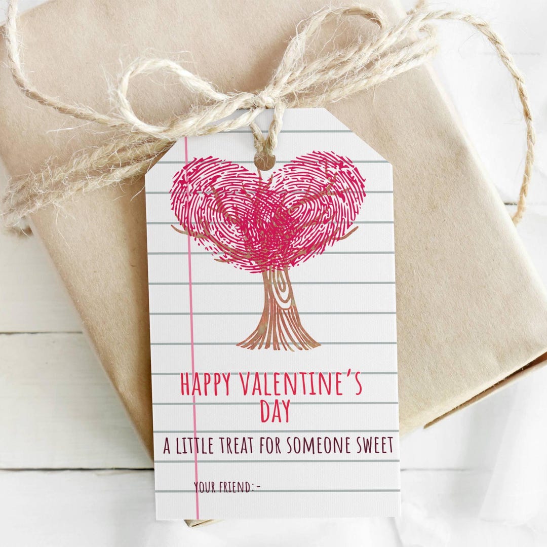 EDITABLE Valentines Day Gift Tags, Classroom Favor Valentine's Day ...