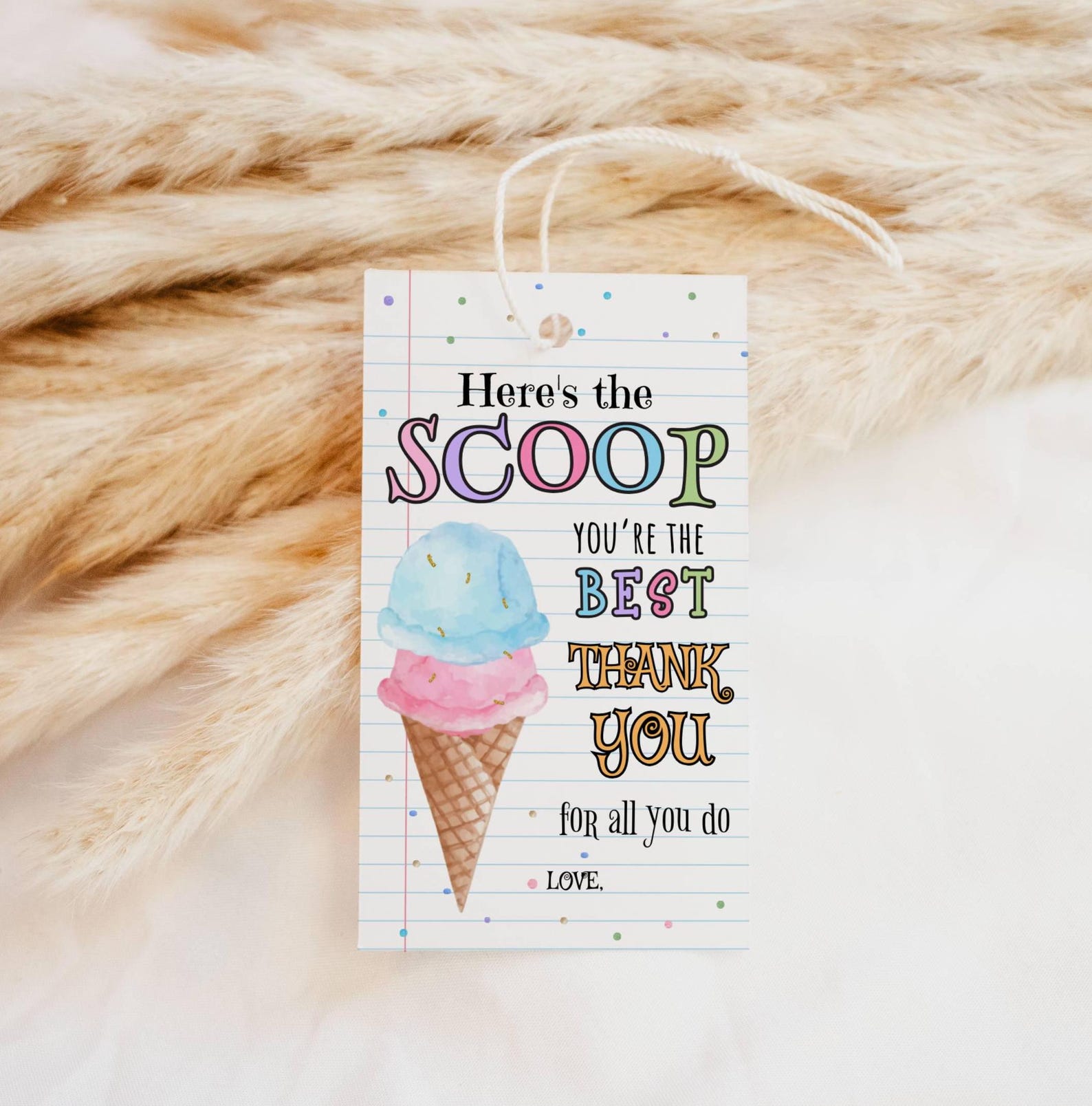 EDITABLE Ice Cream Teacher Appreciation Tag, Printable Here's the Scoop ...