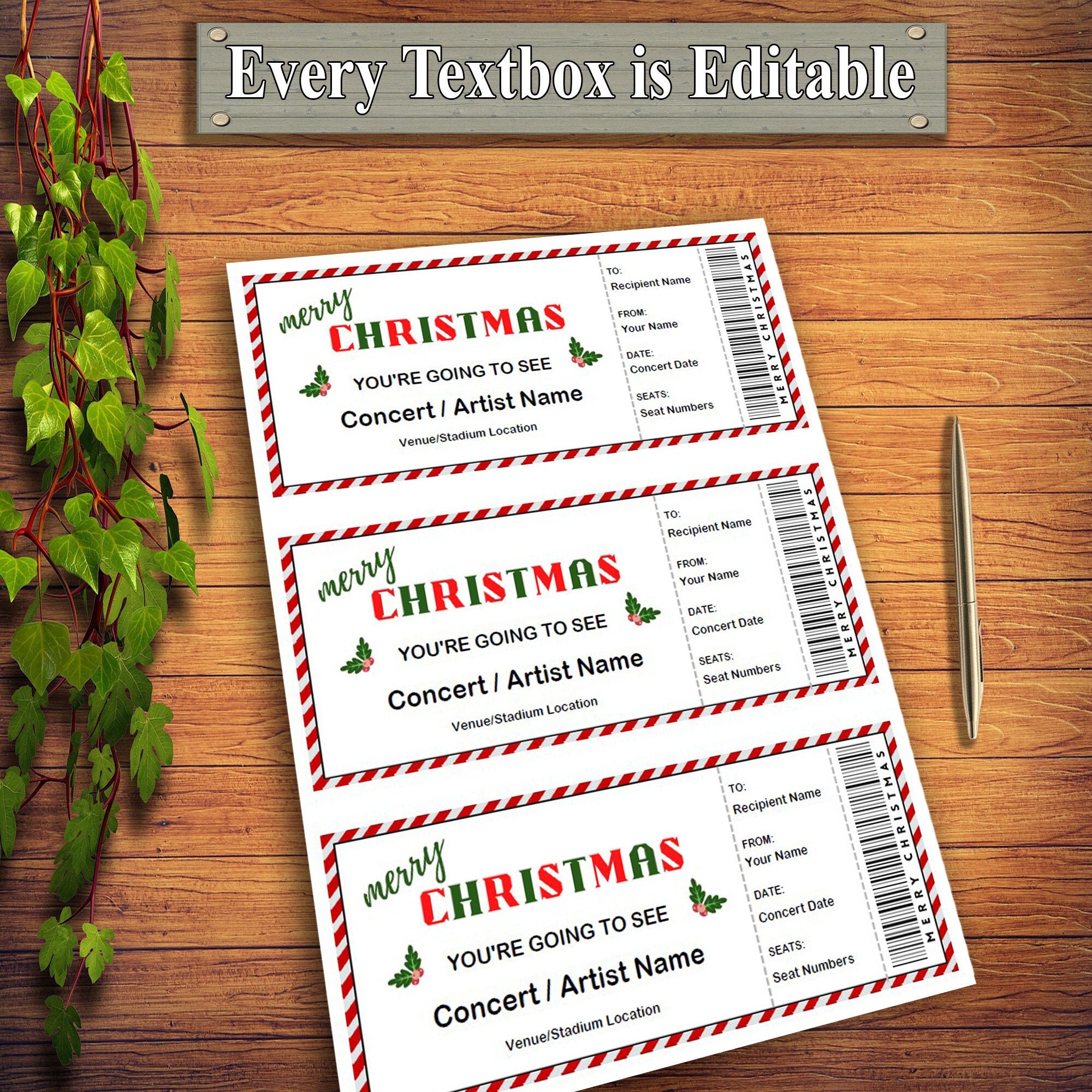 Editable Christmas Concert Ticket Printable Template | Surprise Ticket ...