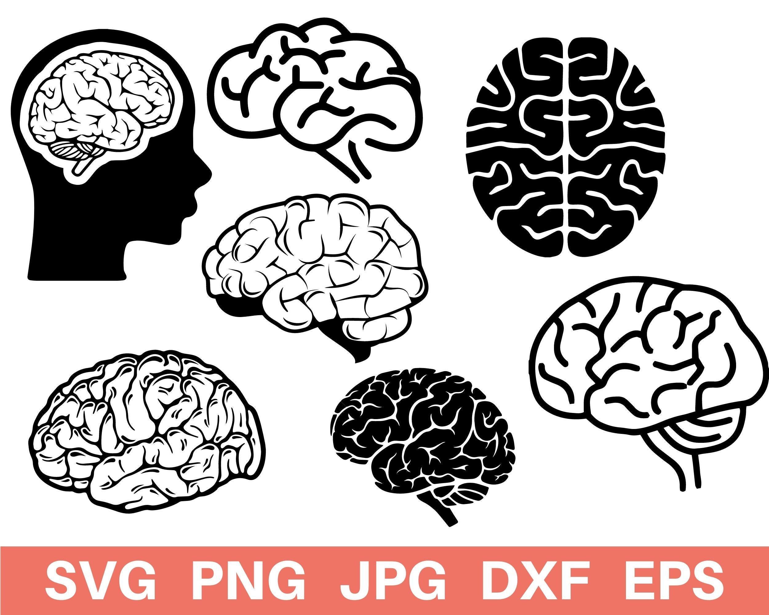 Brain Svg, Human Brain Svg, Brain Png, Brain Clipart, Mental Health Svg ...