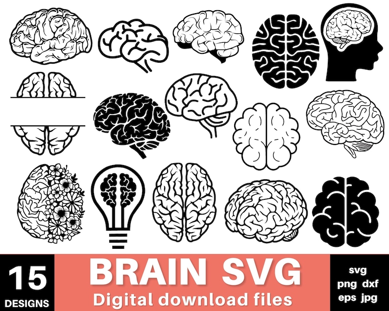 Cerebro svg, cerebro humano svg, cerebro png, clipart cerebral, salud ...