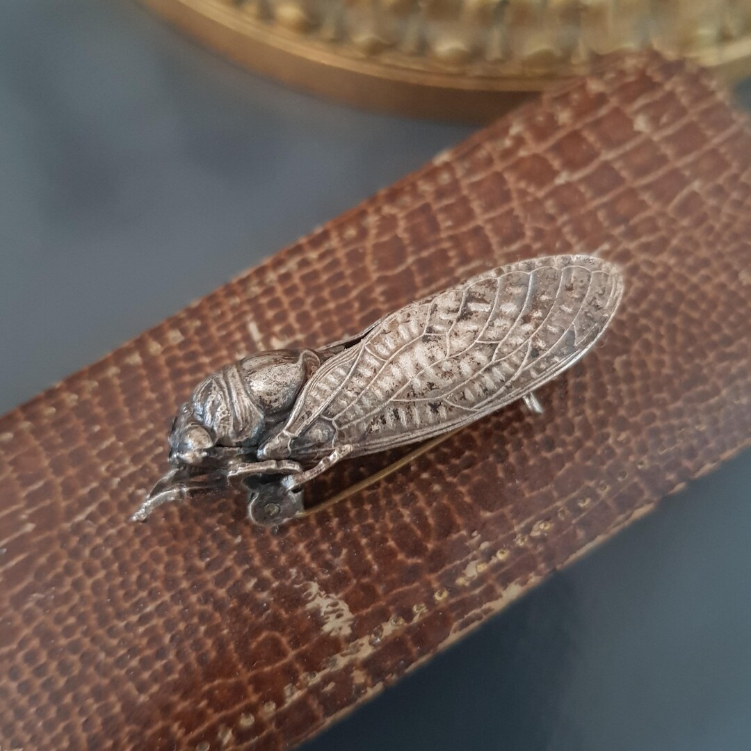 Art Nouveau Antique Cicada Brooch Pin French Jewel C 1900 - Etsy
