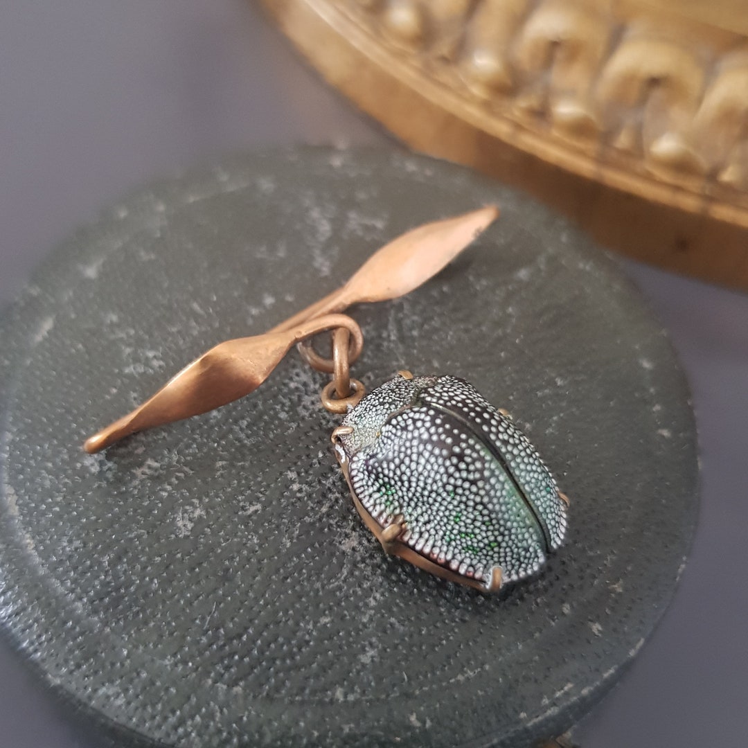 Antique Scarab Beetle Brooch Insect Jewelry C 1900 - Etsy