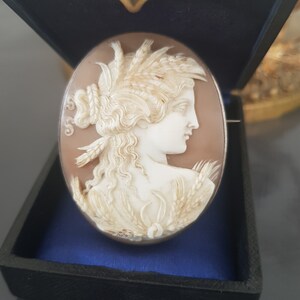 Shell Cameo - Etsy