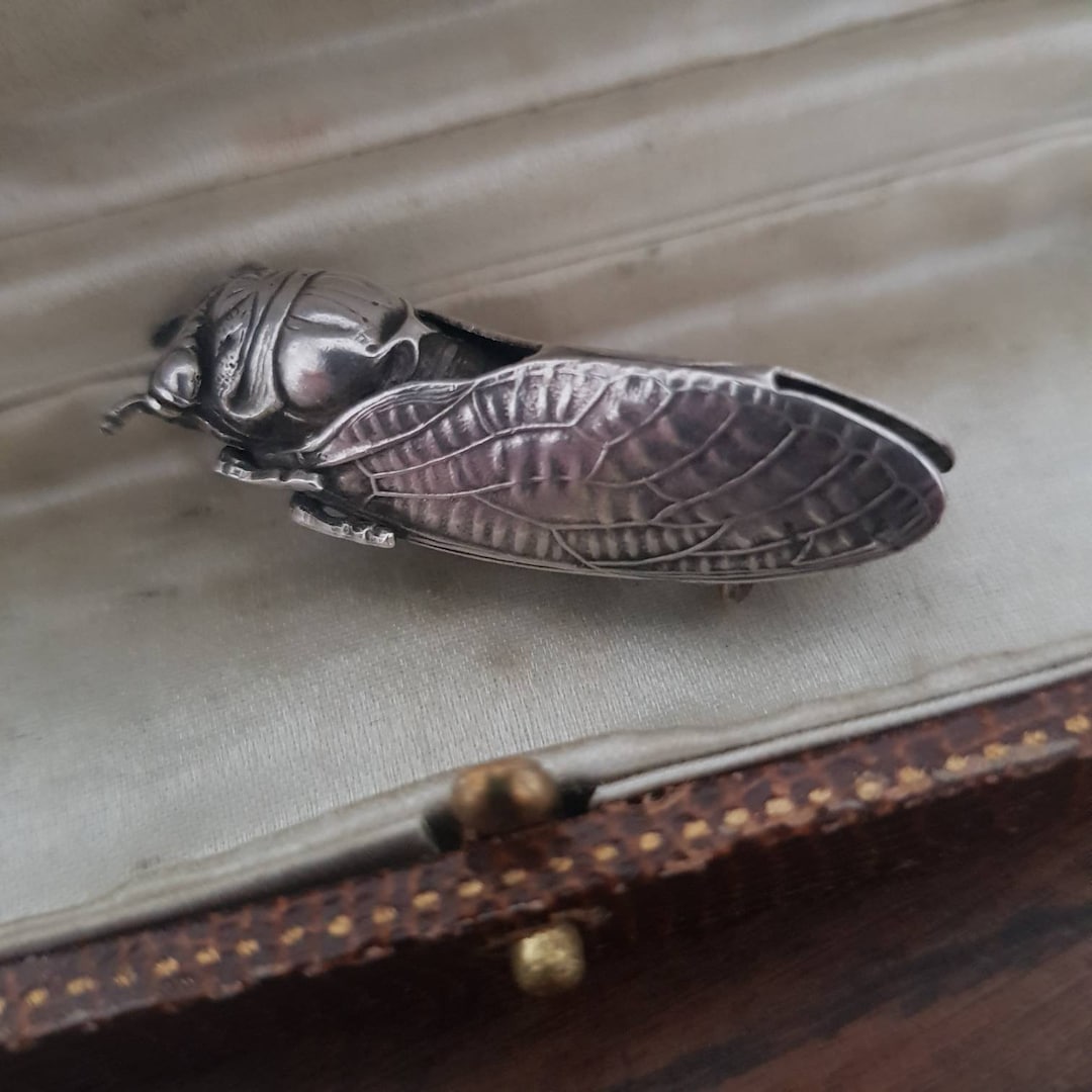 Antique French Cicada Insect Brooch Carved Sterling Silver Art - Etsy