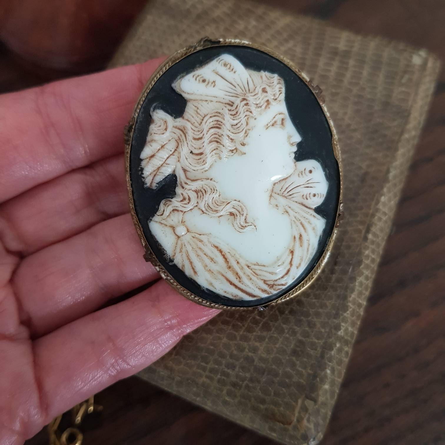 Large French Opaque Glass Cameo Brooch Antique 1900s - Etsy