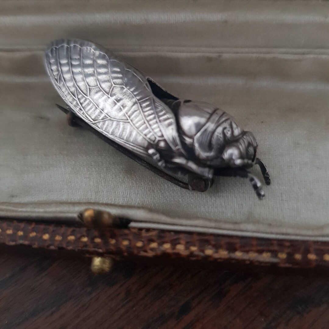 Antique French Cicada Insect Brooch Carved Sterling Silver Art Nouveau ...